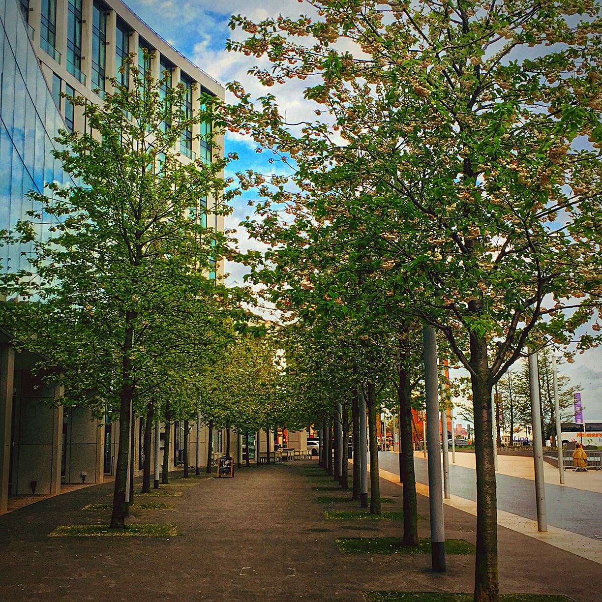 The tree register: One dataset for all trees - Merkator Group